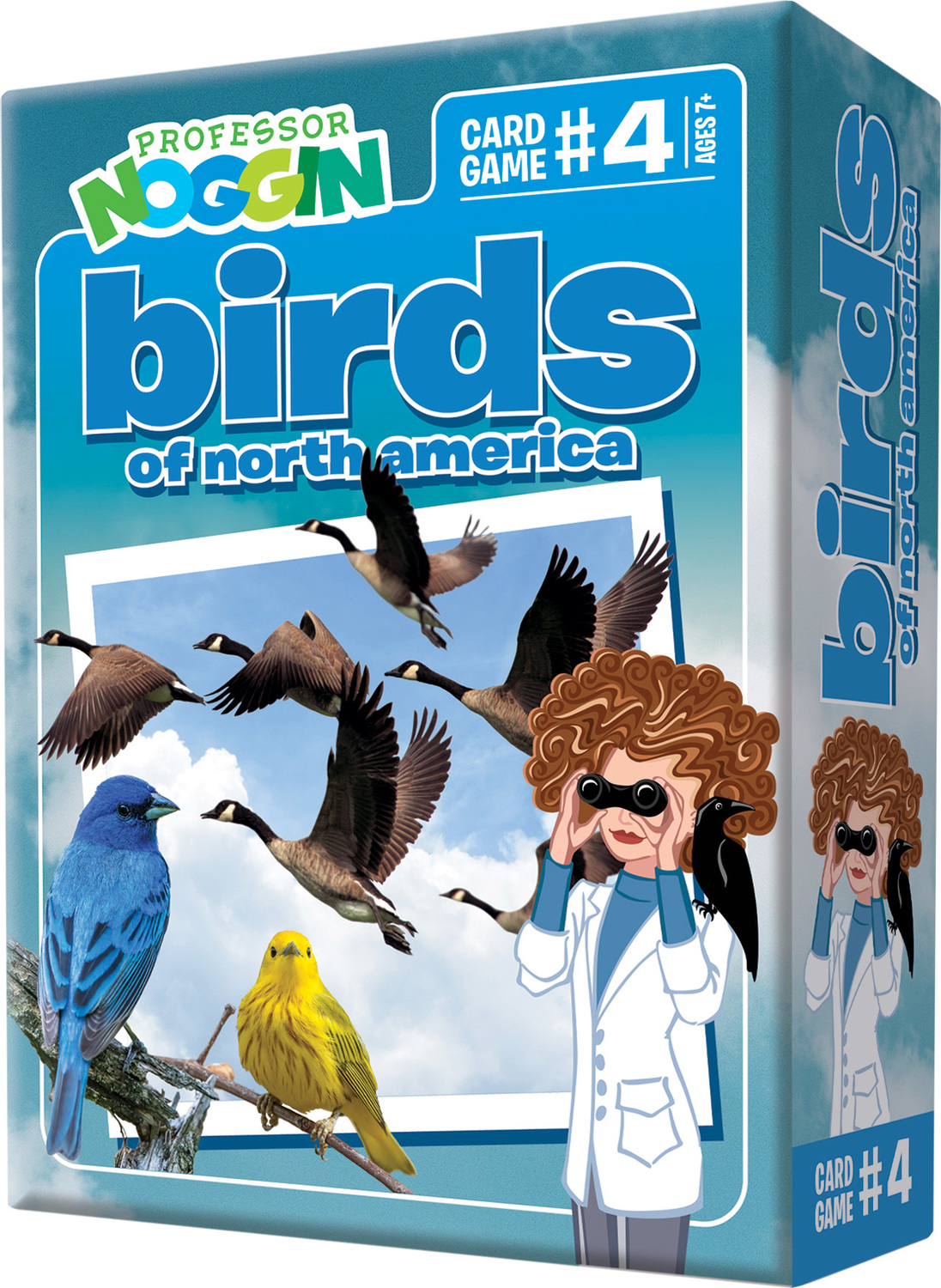 Prof. Noggin Birds of North America – Purple Cow Toys